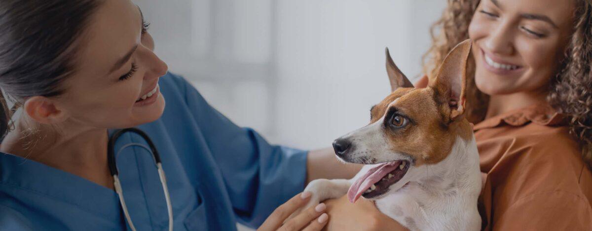 Schedule a Veterinary Appointment in Winter Haven, FL - Compassion ...